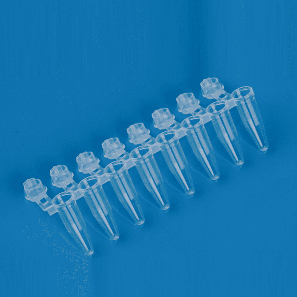 PCR Strips - gfk - servicebio Distributor