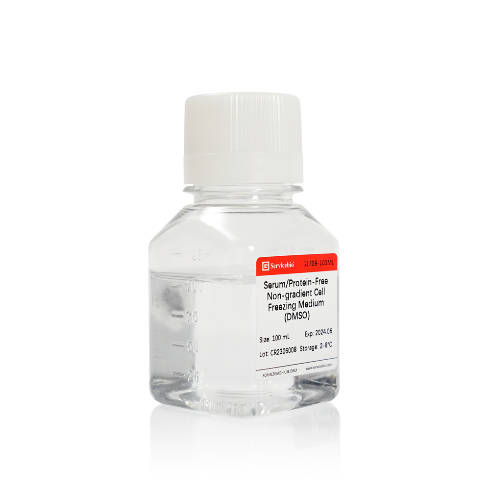 Serum/Protein-Free Non-gradient Cell Freezing Medium (with DMSO) - gfk - servicebio Distributor
