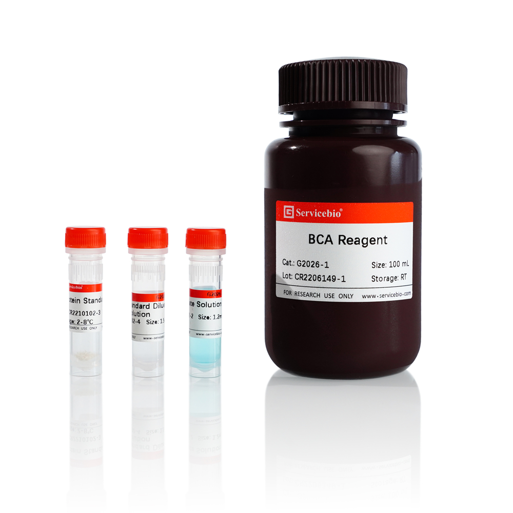 BCA Protein Quantitative Detection Kit - gfk - servicebio Distributor