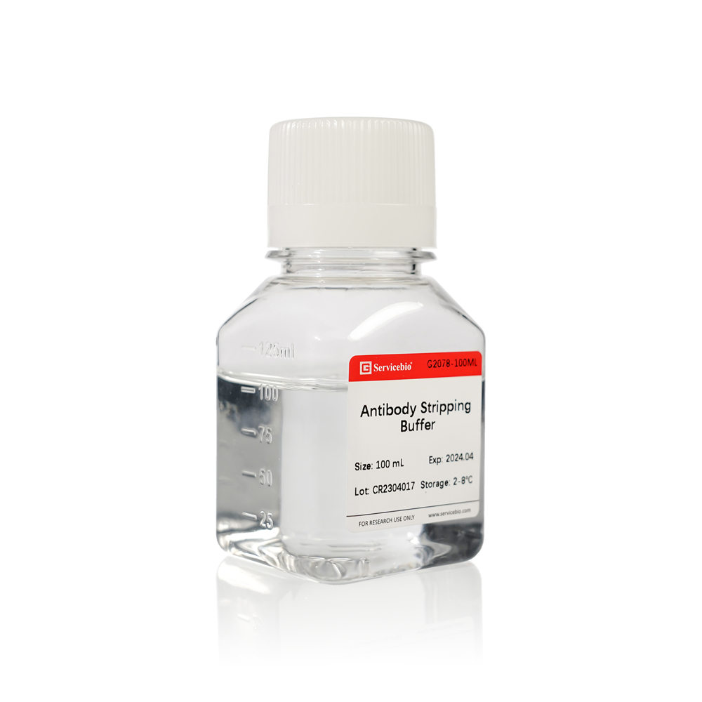 Antibody Stripping Buffer - gfk - servicebio Distributor